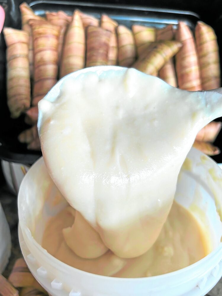 Paluan: Mindoro’s best-kept secret - Inquirer Kitchen